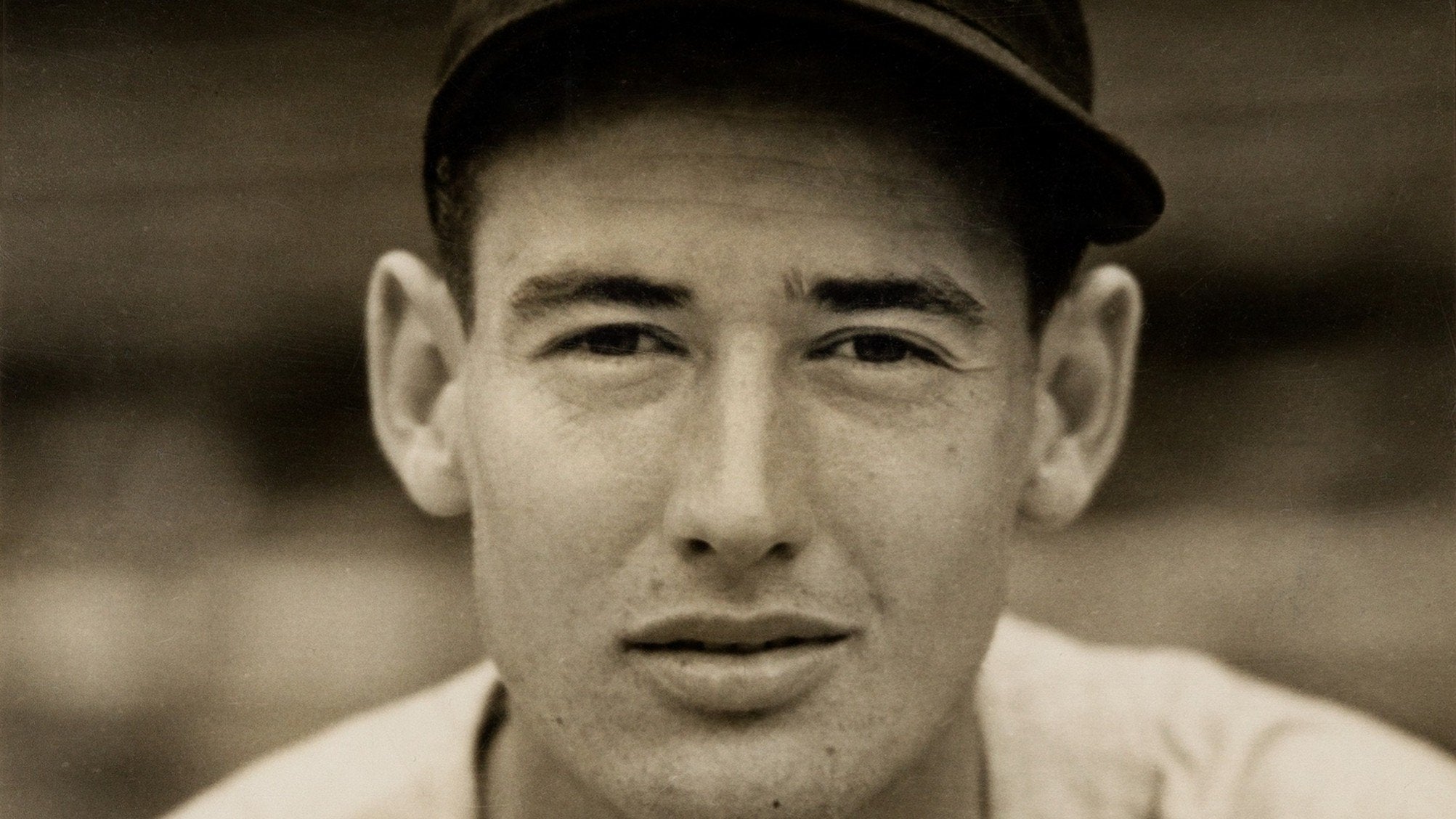 ted williams swing analysis